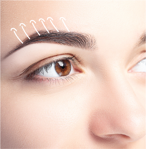Dr. Couto MD - Cirugía Plástica Puerto Rico - Levantamiento de Cejas